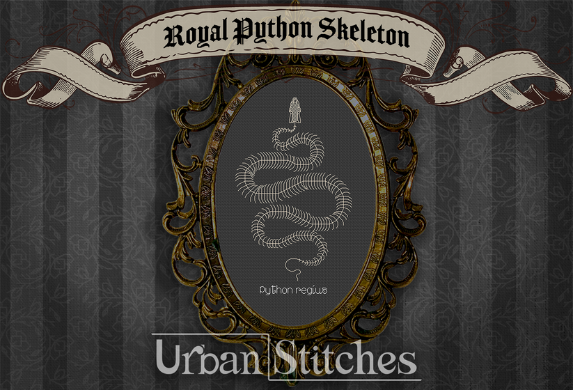 Royal Python Skeleton Snake Faux Taxidermy Blackwork – Urban Stitches