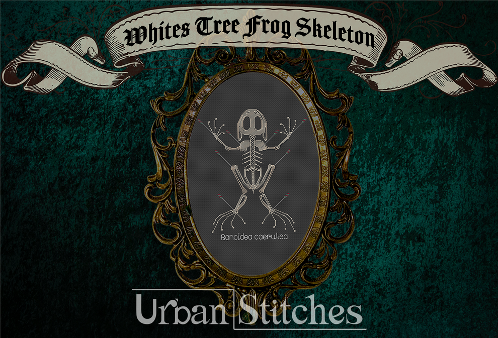 White's Tree Frog Skeleton Faux Taxidermy Blackwork – Urban Stitches